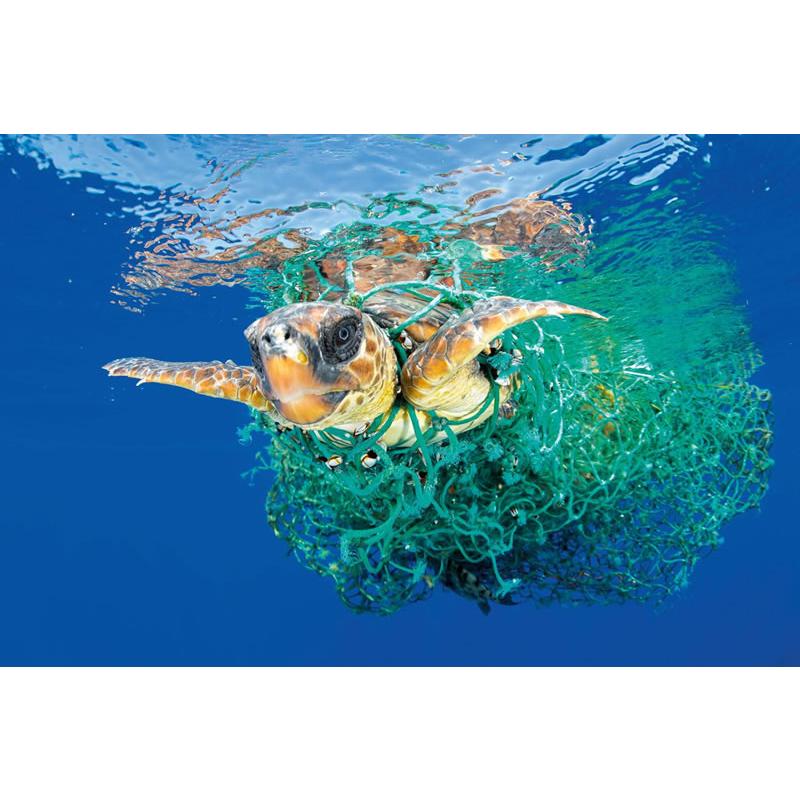 AQUIS オリス 腕時計 ORIS X ブレスネット 43.5mm ゴーストネット文字盤 01 733 7730 4137-07 8 24 05PEB 送料無料 正規品 : 優美堂 - 通販 ...