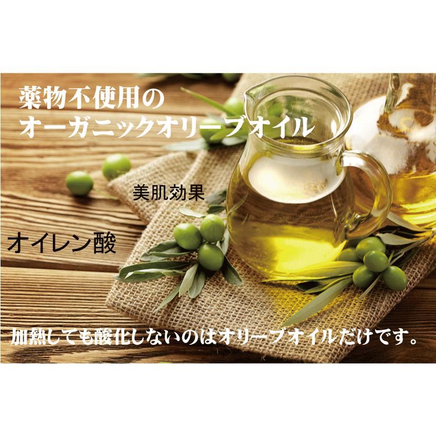 エクストラバージンオイル アルチェネロ オーガニックEXVオリーブオイル(小) 229g(250ml)×3本 コールドプレス製法一番搾り 有機JAS : o-a-0088-3 : 有機家ヤフー ...