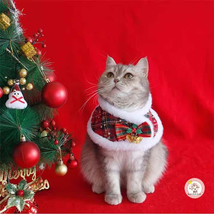 犬サンタマント ネコのサンタマント サンタ ケープ サンタローブ 衣装 犬 服 ドッグウェア クリスマスマント ネコ 猫 仮装 cw-241112-09 : YUYUMOON - 通販 ...