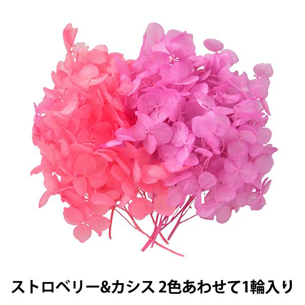 プリザーブドフラワー 『FM ソフトアナベル キャンディBOX ストロベリー&カシス 80604』 : ユザワヤ - 通販 - Yahoo!ショッピング