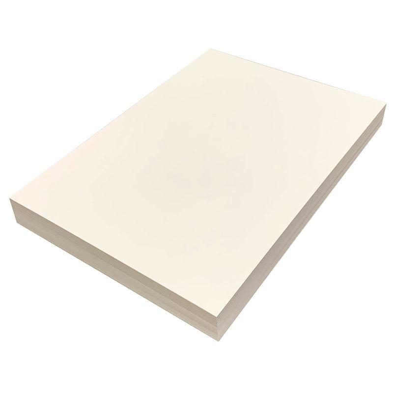 白コートボール紙（裏グレー）A4大きめ 220x307mm 厚さ約0.58mm（日本製・坪量450g/?）50枚入 保護紙・補強紙・梱包材・ :20230701144419-01784 ...