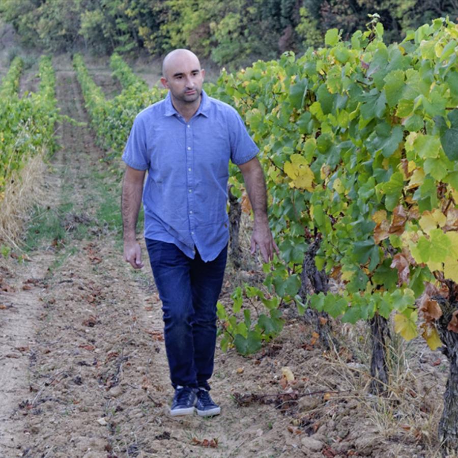 ポイント10倍 ペイ ドック ピノ ノワール [FC245] 1ケース(12本) 送料無料 : 83002613 : YY卓杯便Z - 通販 ...