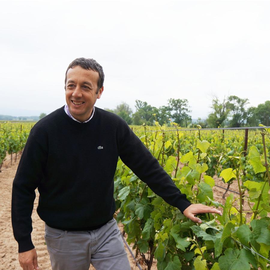 ポイント5倍 ペイ ドック メルロ [FB357] 1ケース(12本) 送料無料 : YY卓杯便 - 通販 - Yahoo!ショッピング