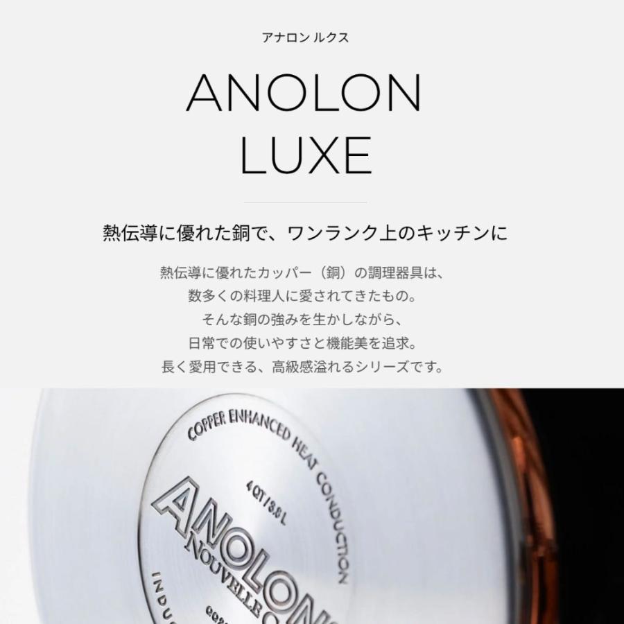 アナロン ヌーヴェルカッパー マイヤー MEYER フライパン ルクス 20cm AC3-P20 IH ガス対応 PFOA フリー : z-selectionヤフーショップ - 通販 ...