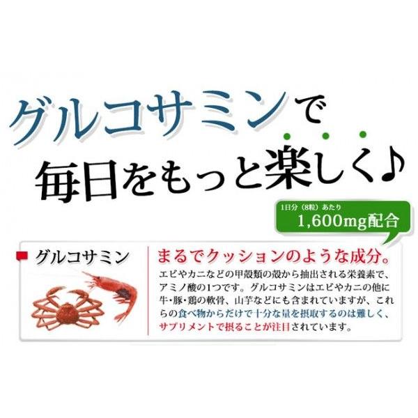 【SUPLIMAXサプリマックス】グルコサミン＆コンドロイチン 240粒ボトル入り : ゼットイオン薬品 - 通販 - Yahoo!ショッピング