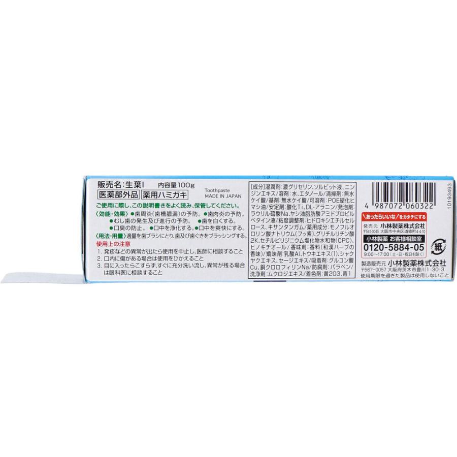 小林製薬 歯磨き粉 薬用 生葉 息スーッと実感タイプ 100g (K) : Zaiko-R - 通販 - Yahoo!ショッピング