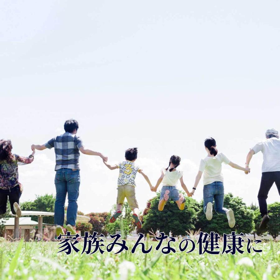 送料無料 野菜パウダー ケール パウダー 40gx3 国産100% 無農薬 野菜粉末 健康 美容 : よもぎ健康堂 - 通販 - Yahoo!ショッピング