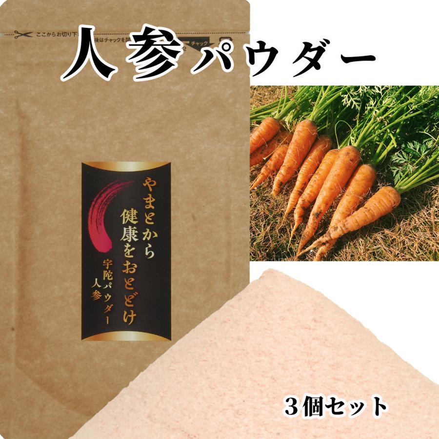 送料無料 野菜パウダー 人参 パウダー 40gx3 国産100% 無農薬 野菜粉末 健康 美容 : よもぎ健康堂 - 通販 - Yahoo!ショッピング
