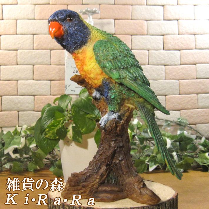 鳥の置物 オウム ゴシキセイガインコ リアル ガーデニング インテリア 店舗 カウンター 装飾 デコニク 庭 : 雑貨の森 Ki・Ra・Ra Yahoo!店 - 通販 - Yahoo!ショッピング