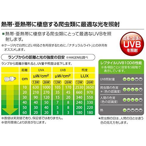 GEX EXOTERRA レプタイルUVB100 13W PT2186 熱帯・亜熱帯 爬虫類用 紫外線ライト 熱帯・亜熱帯に棲息する爬虫類にとっ : 雑貨Victor - 通販 - Yahoo ...