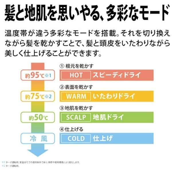 新品未開封品 SHARP シャープ プラズマクラスタードライヤー beaute A IB-RP9-C サーブルベージュ 4974019241524 : 4974019241524 ...