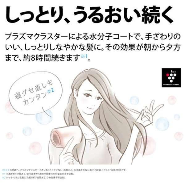 新品未開封品 SHARP シャープ プラズマクラスタードライヤー beaute A IB-RP9-C サーブルベージュ 4974019241524 : 4974019241524 ...
