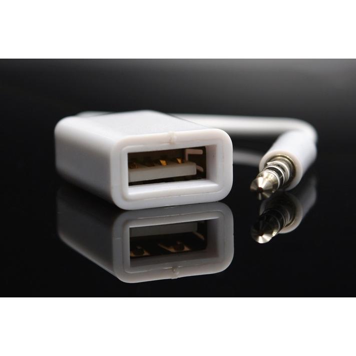 AUX端子からUSBへ変換 3.5mmオスAUXオーディオジャックプラグからUSB 2.0メスへの変換ケーブル コンバーターケーブルのみ対応 ...