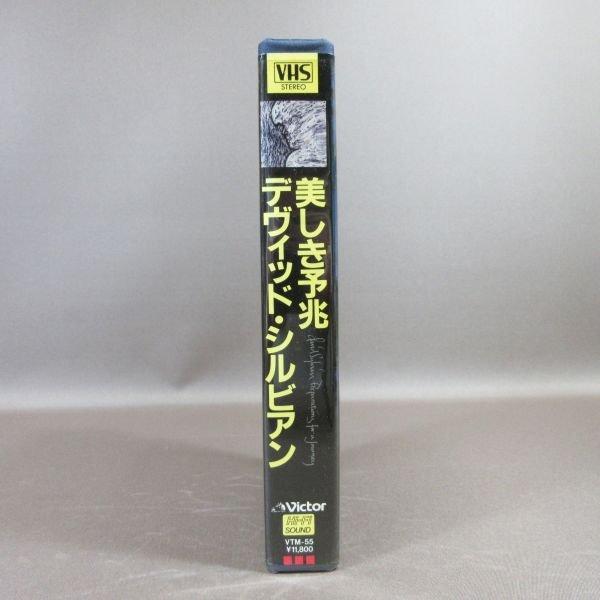 M694 VTM-55 デヴィッド・シルビアン「美しき予兆」VHSビデオ : ざうるす - 通販 - Yahoo!ショッピング