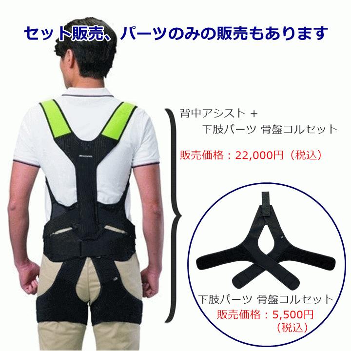 【平日15時まで即日出荷】DARWING SATT(ダーウィンサット)背中アシスト【腰痛対策 骨盤サポート 腰ベルト 姿勢 重い荷物 】 : 前後前ショップ ヤフー店 - 通販 - Yahoo ...