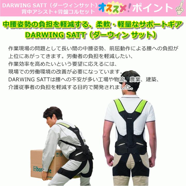 【平日15時まで即日出荷】DARWING SATT(ダーウィンサット)背中アシスト+骨盤コルセット 【腰痛対策 骨盤サポート 重い荷物 】 : 前後前ショップ ヤフー店 - 通販 ...