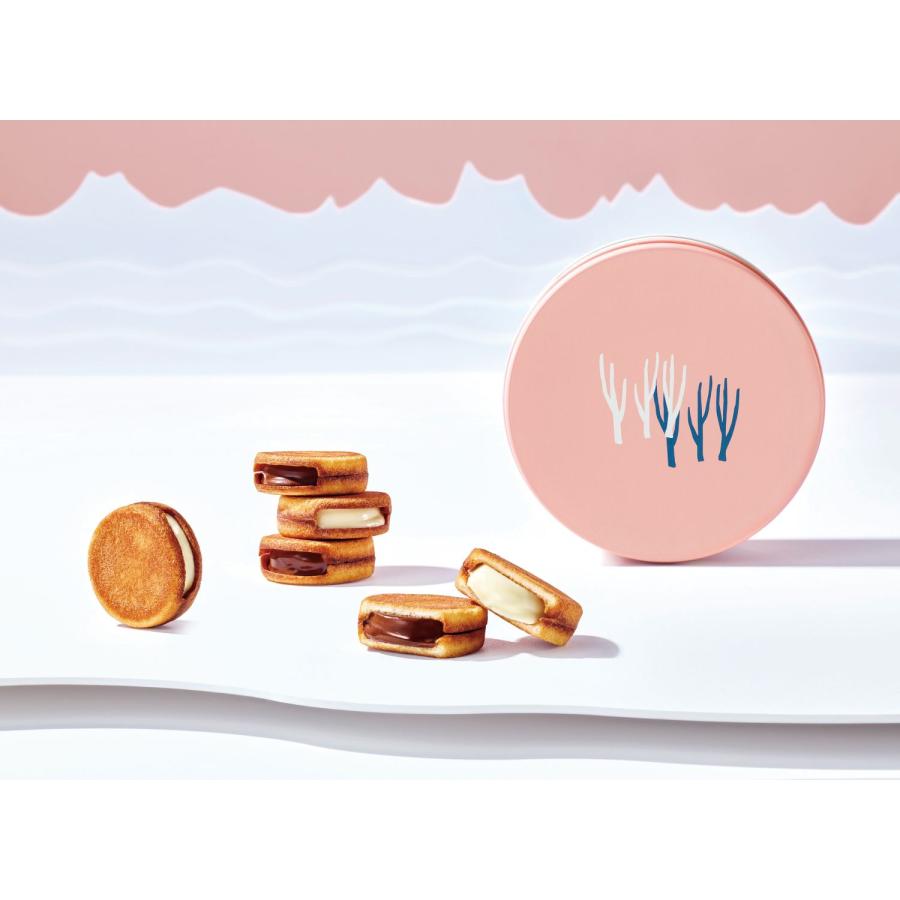 スノー スノーサンド バレンタイン限定缶 6個入 (白3個＋黒3個) 1缶 袋付き プレゼント 北海道 チョコ お菓子 SNOWS クッキー きのとや : 20240115snbrtinkn ...