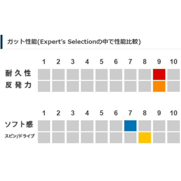 ゴーセン GOSEN 軟式 テニス ソフトテニス ガット ストリングス ブルズインパクト Expert's Selection BULLSIMPACT SSBI11 BP : スポーツジュエン ...
