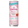 LOHACO - ノンアルコール チューハイテイスト飲料 ザ・チョーヤ 酔わない本格梅酒仕込み 250ml 1セット（6本）